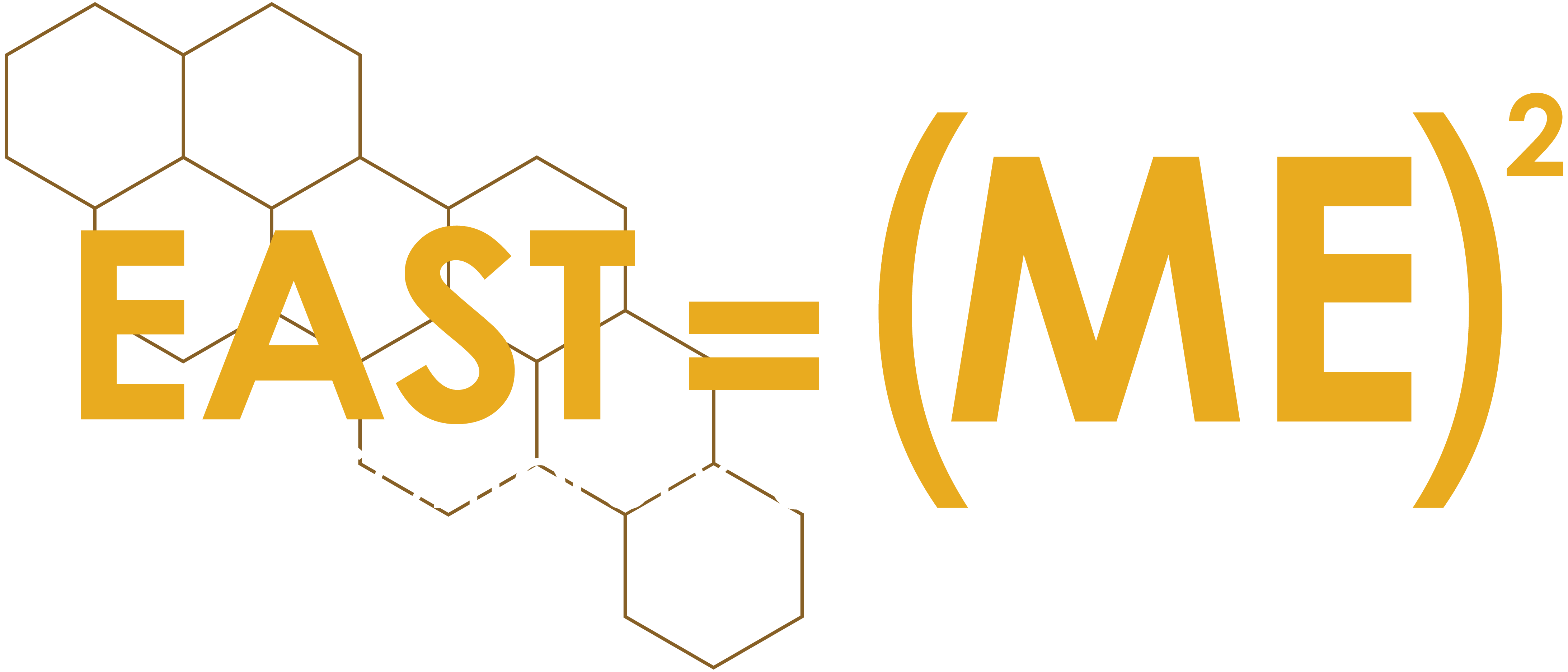 Conference Logo : EAST Conference 2016